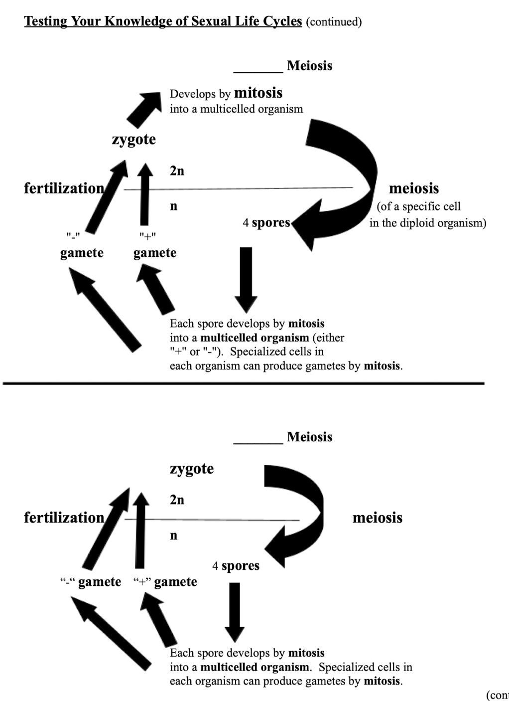 Solved Testing Your Knowledge of Sexual Life Cycles | Chegg.com
