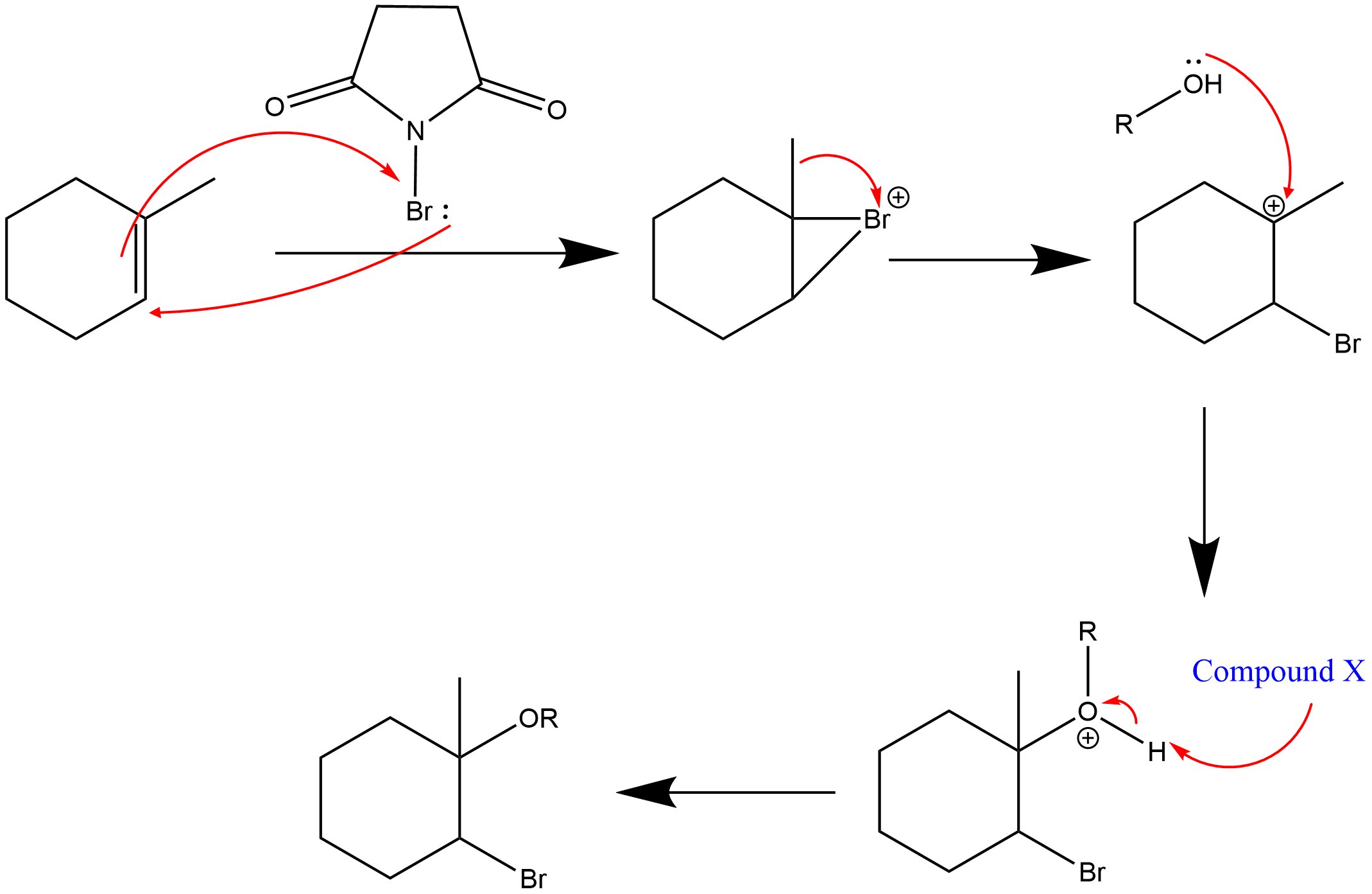 Solved 2. What is the role of N-bromosuccinimide in this | Chegg.com