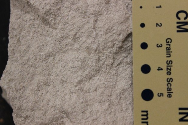 Solved CM Grain Size Scale 1234Choose the correct answer. | Chegg.com