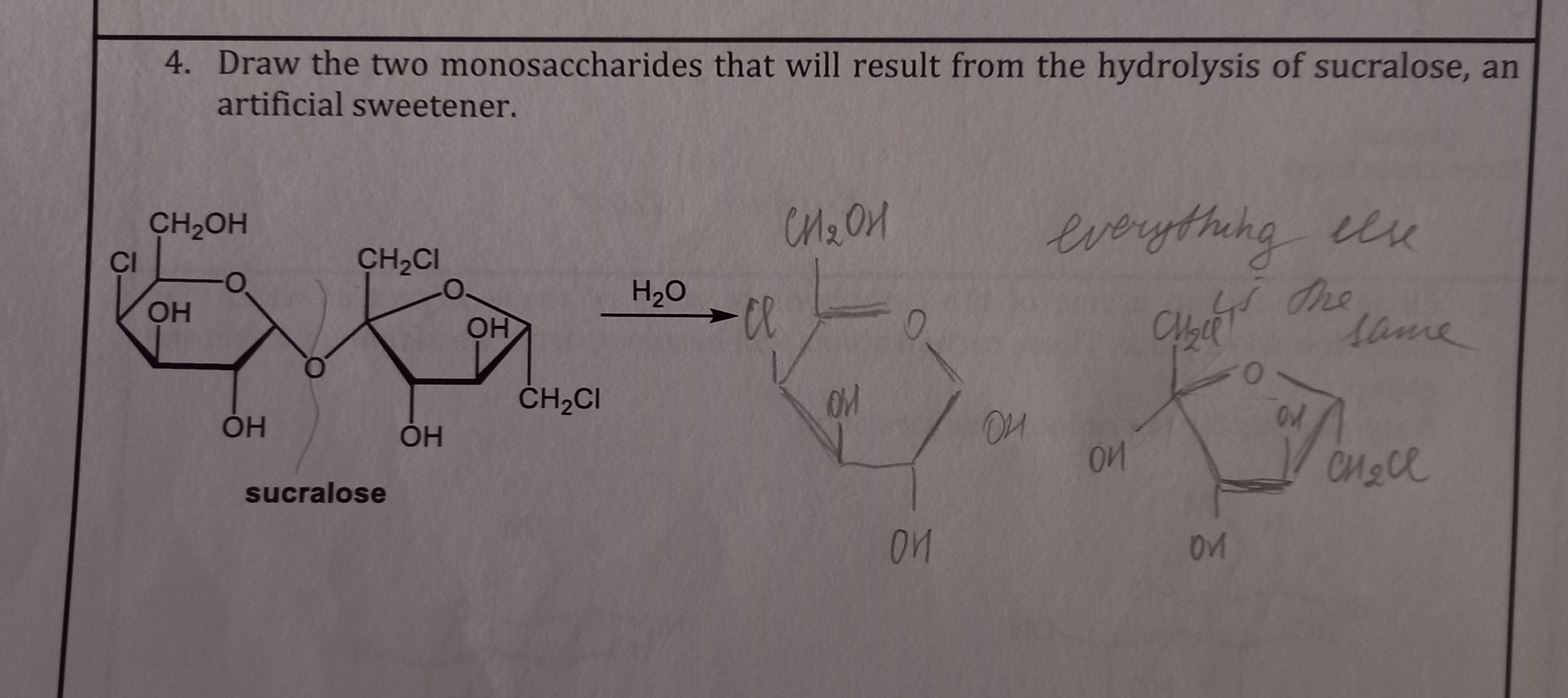 Solved 4. Draw the two monosaccharides that will result from | Chegg.com