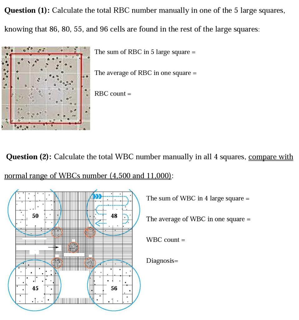 Solved Question (1): Calculate the total RBC number manually | Chegg.com