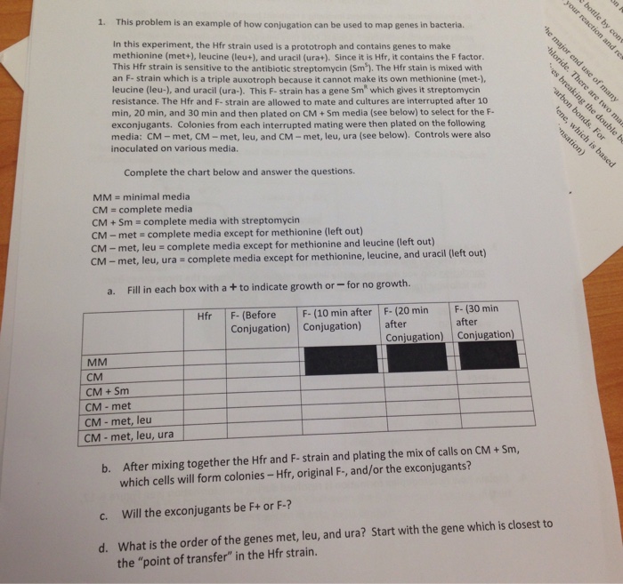 Solved 1. This problem is an example of how conjugation can | Chegg.com