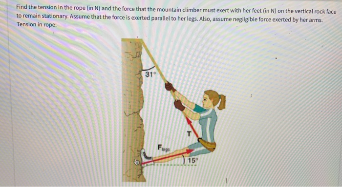Solved Find the tension in the rope (in N) and the force | Chegg.com