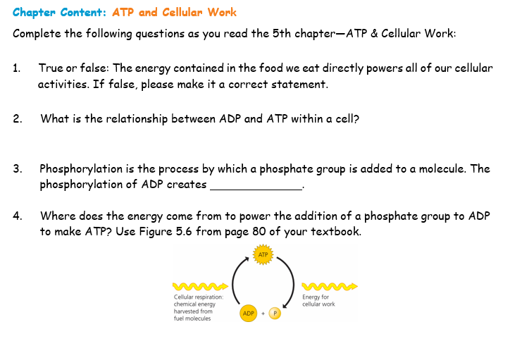 Solved Chapter Content: ATP and Cellular Work Complete the | Chegg.com