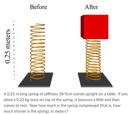 Solved Before After 0.25 meters ooonnnnnn A 0.25 m long | Chegg.com