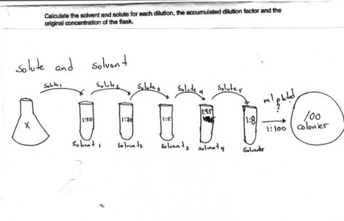 Solved Calculate the original concentration of the aultures | Chegg.com