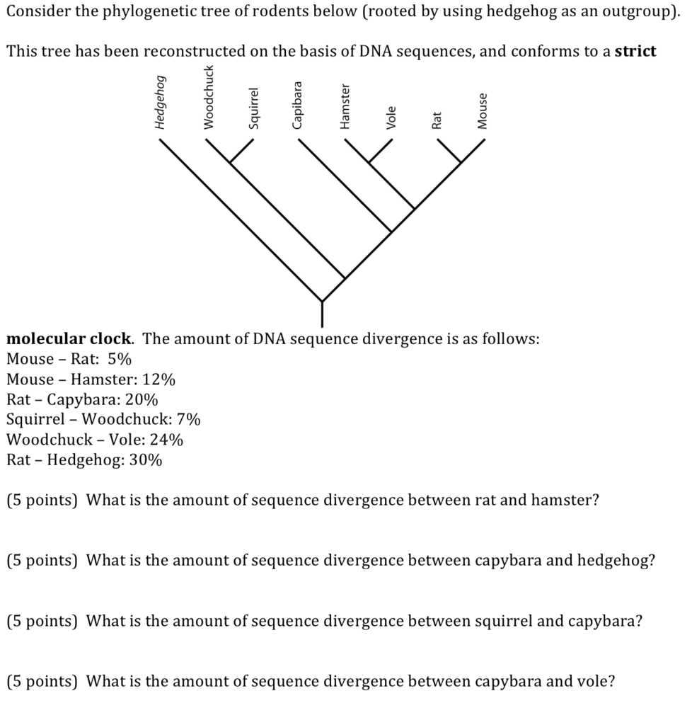 Solved Consider the phylogenetic tree of rodents below | Chegg.com