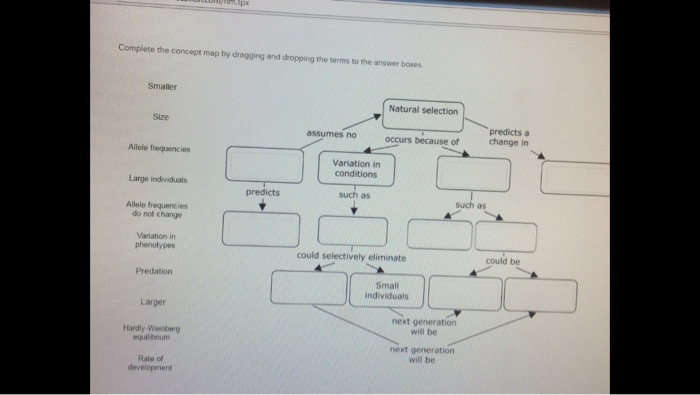 Solved Complete the concept map by dragging and dropping the | Chegg.com