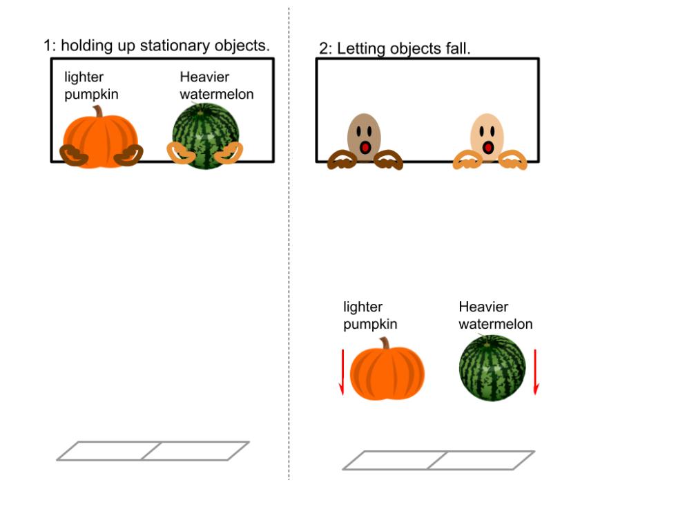 Solved OBSERVATION: Two kids decide to drop both a pumpkin | Chegg.com