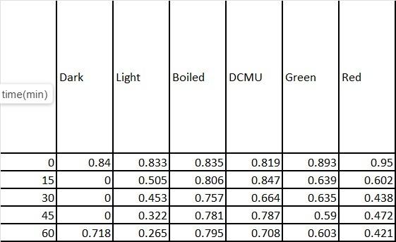 Solved Introduction This lab investigates photosynthetic | Chegg.com