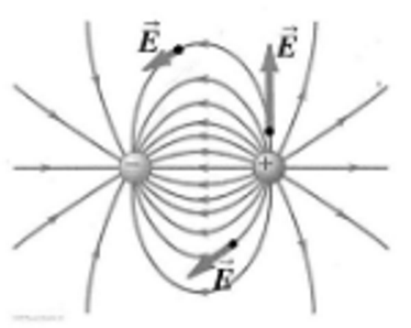 Solved Consider the sketch of the electric field of a | Chegg.com