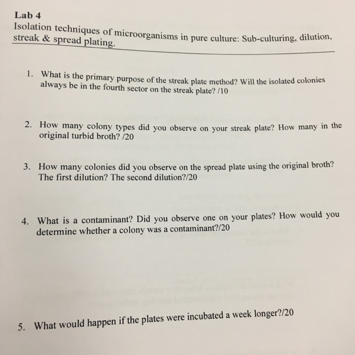 Lab 4 Isolation techniques of microorganisms in | Chegg.com