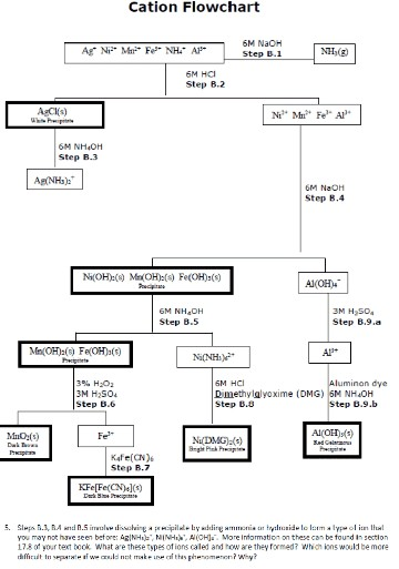 Cation Flowchart 6M NaOH Step B.1 6M HCI Step 8.2 | Chegg.com