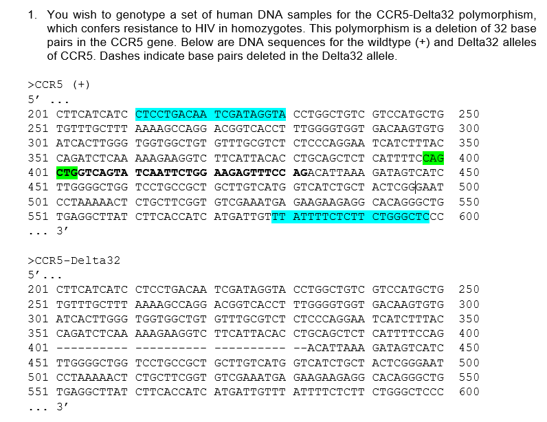Solved you digest your PCRs with a restriction enzyme: PvuII | Chegg.com