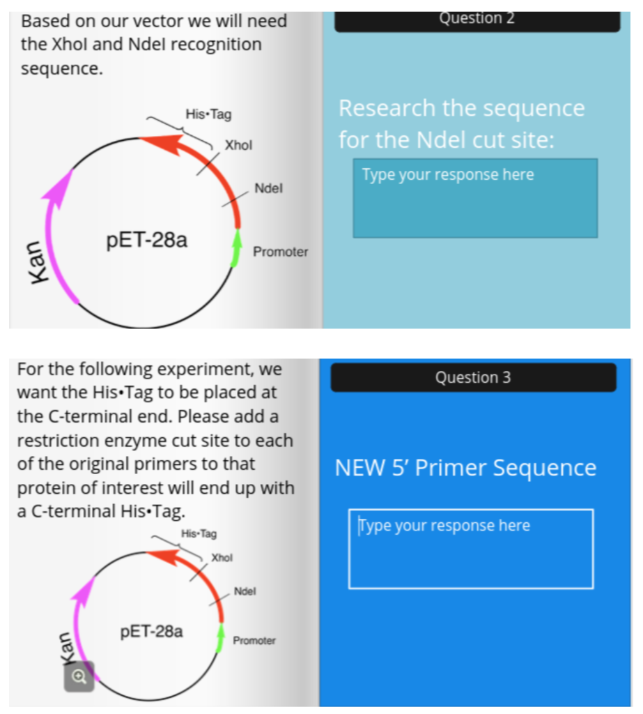 Solved Question 1 Based on our vector we will need the Xhol | Chegg.com