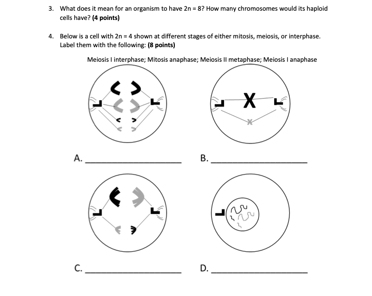 Solved 3. What does it mean for an organism to have 2n = 8? | Chegg.com