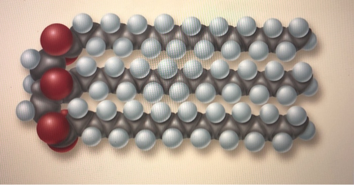 Solved The fat molecule shown above containing three long | Chegg.com