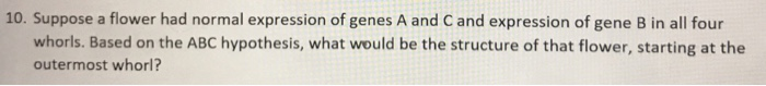 Solved 10. Suppose a flower had normal expression of genes A | Chegg.com