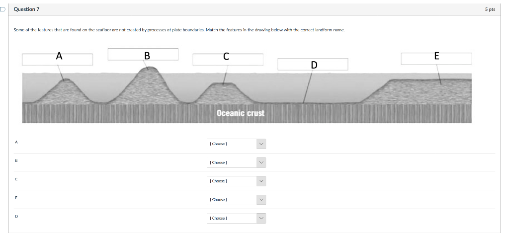 Solved OPTIONS FOR EACH: Abyssal Plane Mid-Ocean | Chegg.com