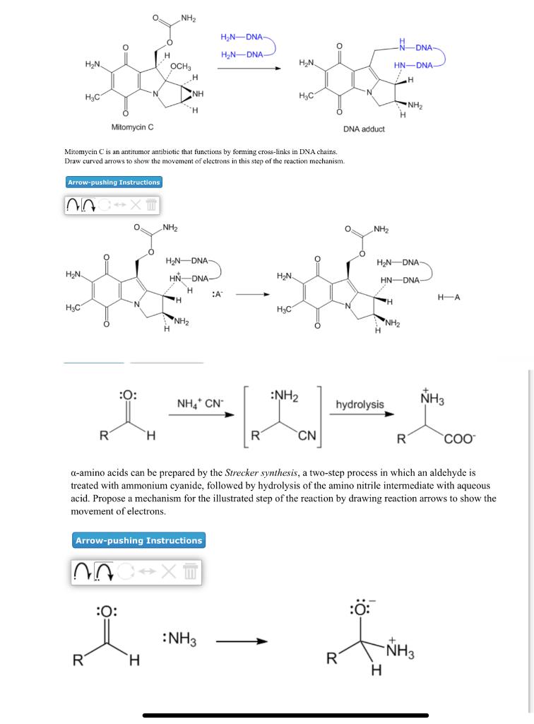 Solved NH2 H.N-DNA N -DNA- H2N-DNA H2N H OCH . H HAN HN-DNA | Chegg.com