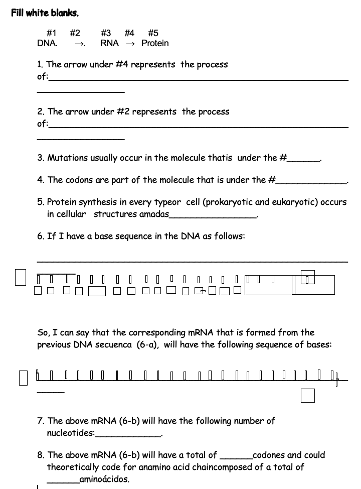 Solved Fill white blanks. #2 #1 DNA. #3 #4 RNA → #5 Protein | Chegg.com