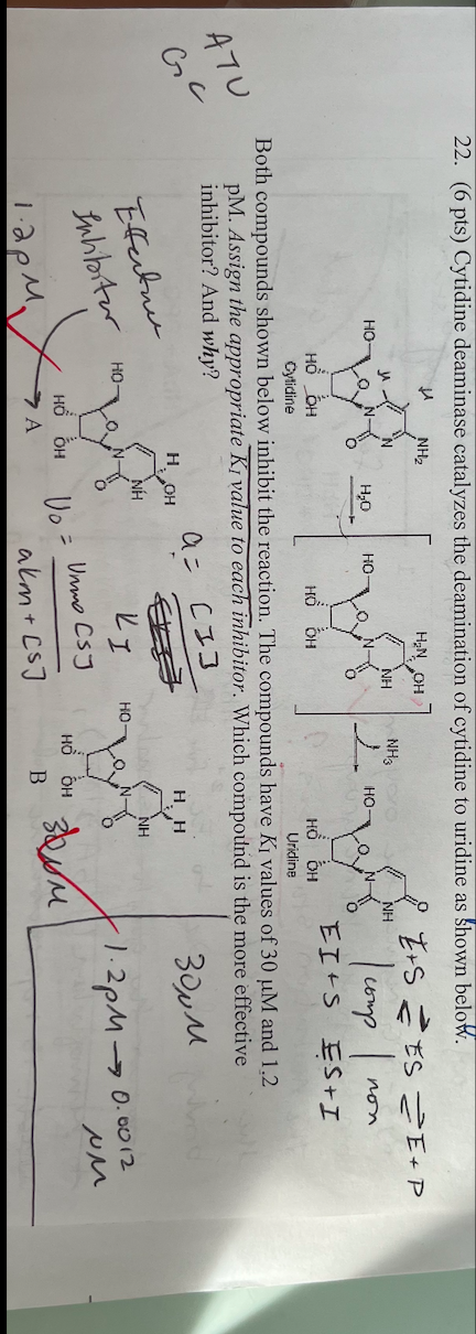 Solved Both compounds shown below inhibit the reaction. the | Chegg.com