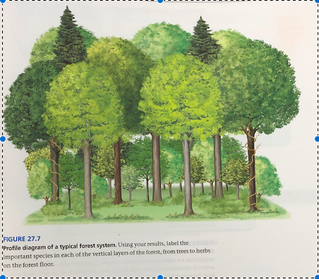 FIGURE 27.7 Profile diagram of a typical forest | Chegg.com
