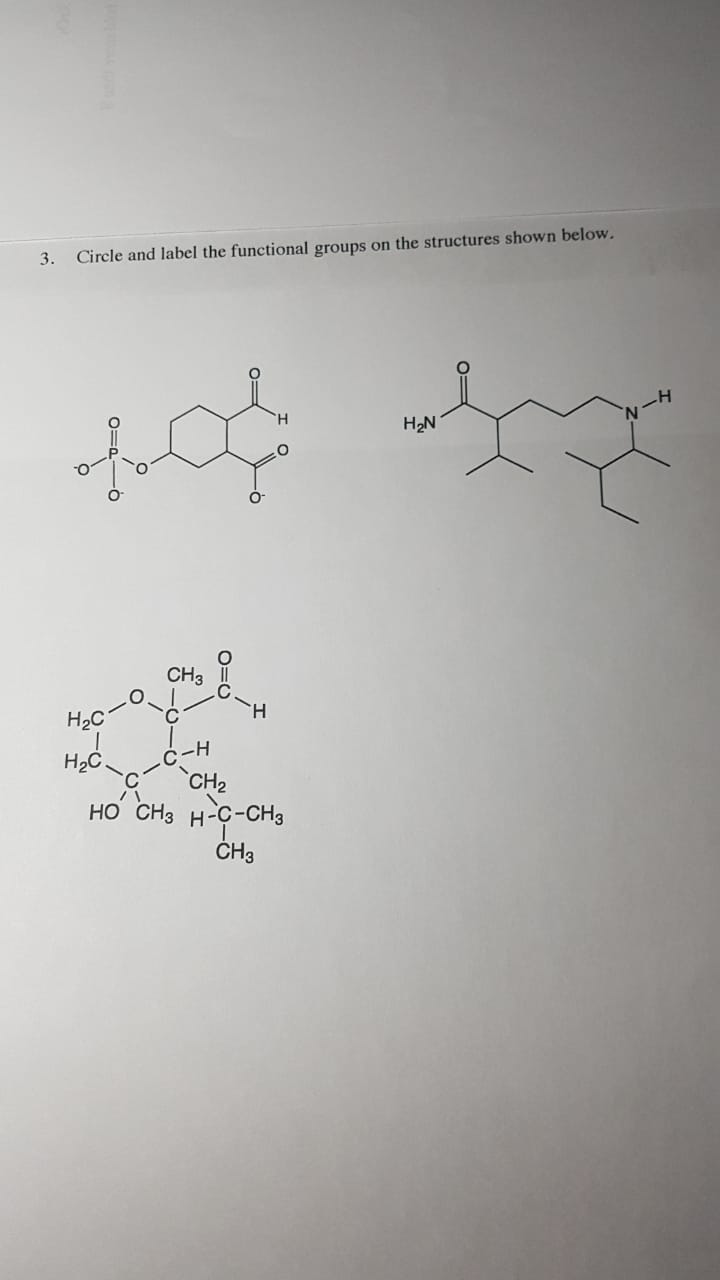 Solved 3. Circle and label the functional groups on the | Chegg.com