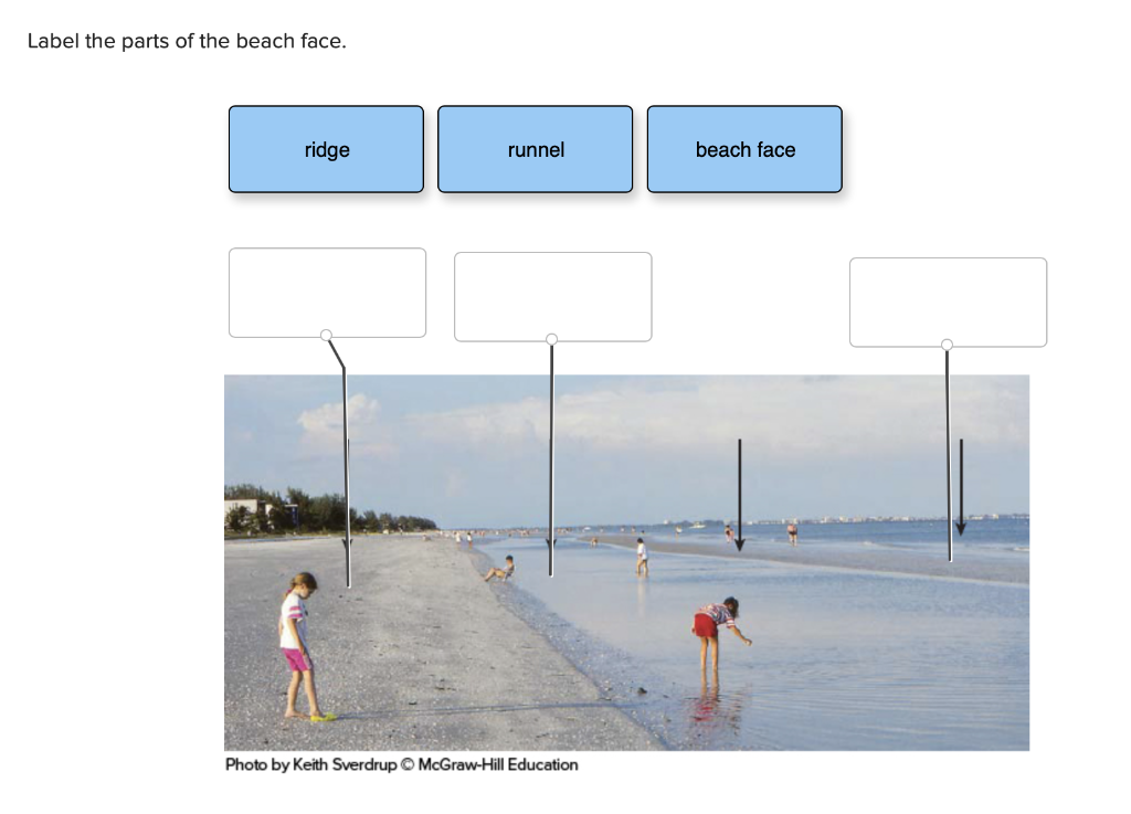 Solved Label the parts of the beach face. ridge runnel beach | Chegg.com