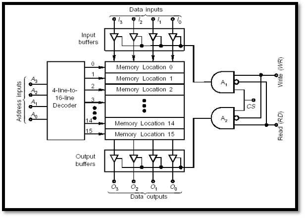 Solved Identify the type of memory shown in Figure (1). | Chegg.com