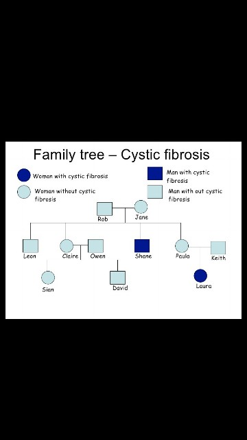 Solved Family tree - Cystic fibrosis Man with cystic | Chegg.com