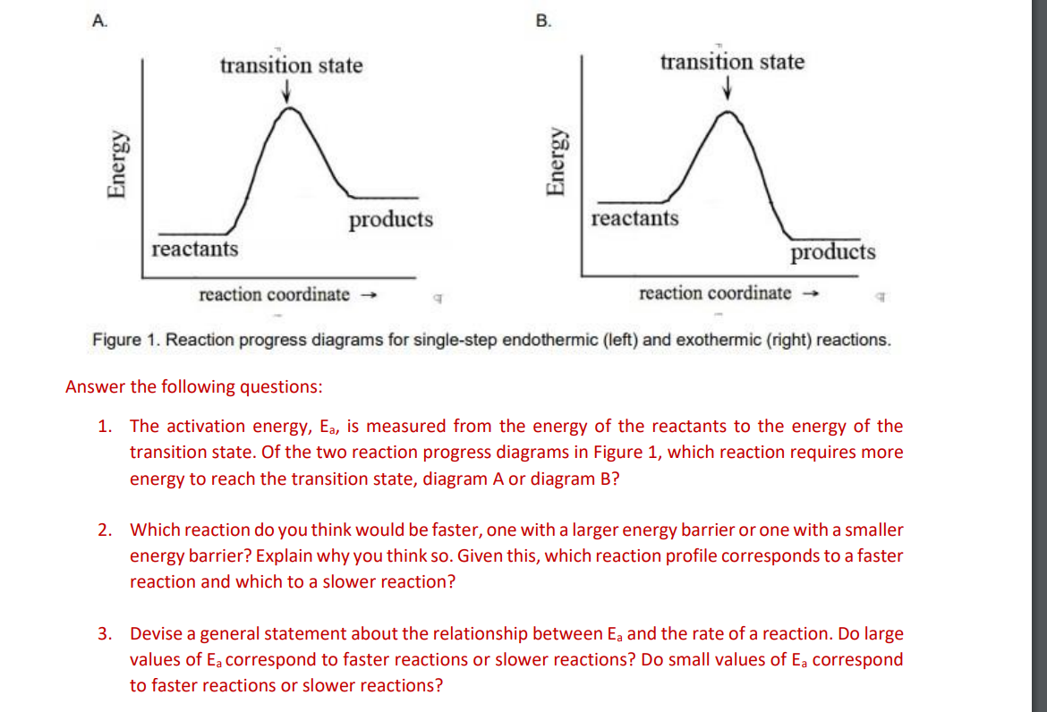 Solved A B Transition State Transition State 즈 지 Products