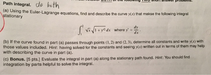 Solved Path integral. do beth the Euler-Lagrange equations, | Chegg.com