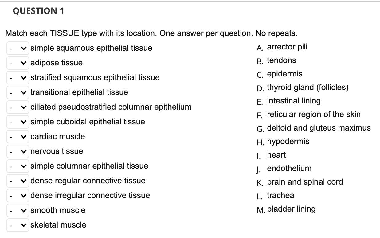 Solved QUESTION 1 Match each TISSUE type with its location. | Chegg.com