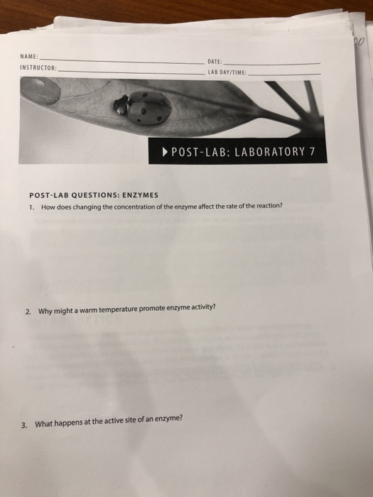 Solved NAME: DATE LAB DAY/TIME INSTRUCTOR POST-LAB: | Chegg.com