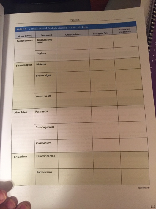 Solved Protists TABLE 5 Comparison of Protists Studied in | Chegg.com
