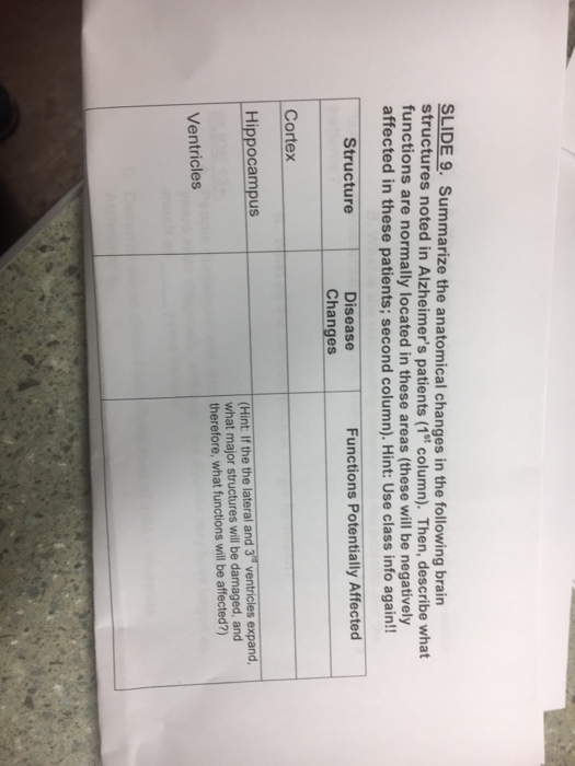 Solved SLIDE 9. Summarize the anatomical changes in the | Chegg.com