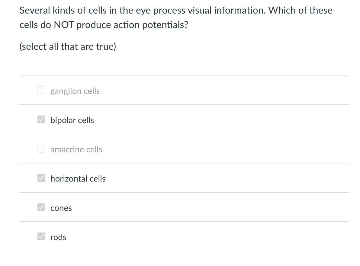 Solved Several kinds of cells in the eye process visual | Chegg.com
