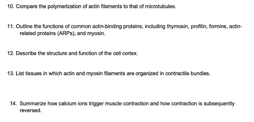 Solved 10 Compare The Polymerization Of Actin Filaments To