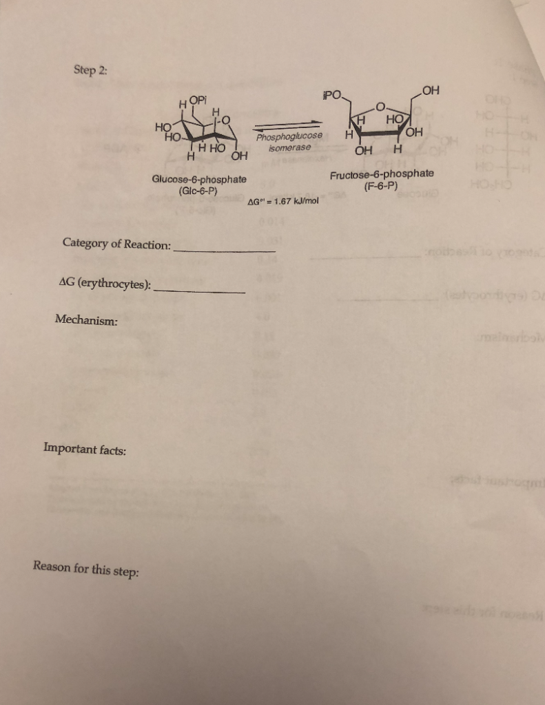 Glycolysis Worksheet Overview of the pathway: Phase I | Chegg.com