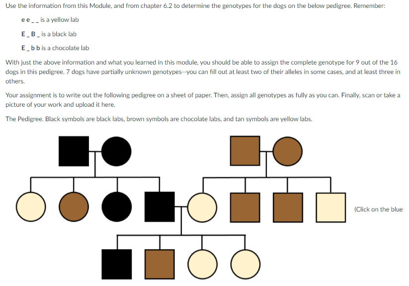 Solved Use the information from this Module, and from | Chegg.com