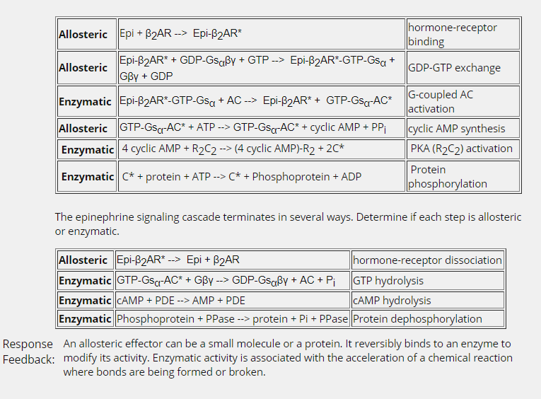Solved Epinephrine signaling , like that of insulin, is a | Chegg.com