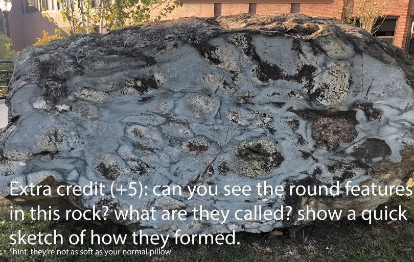 Solved Extra credit (+5): can you see the round features in | Chegg.com