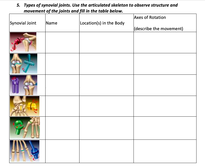 Solved 5. Types of synovial joints. Use the articulated | Chegg.com
