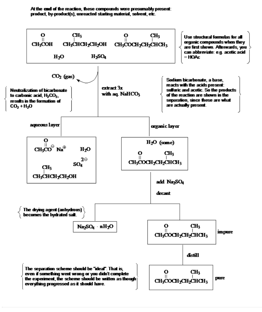 Solved Separation scheme for Grignard reaction - the | Chegg.com