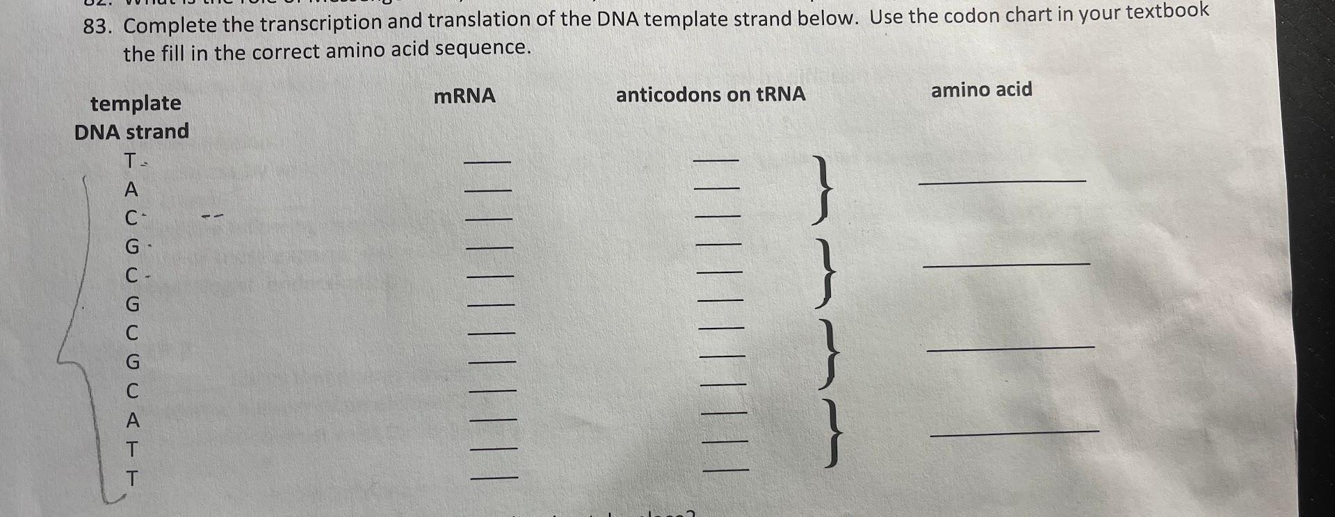 Solved 83. Complete the transcription and translation of the | Chegg.com