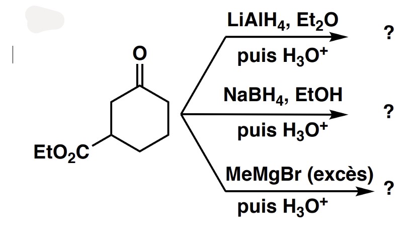 Solved Please draw the mechanism step by step | Chegg.com