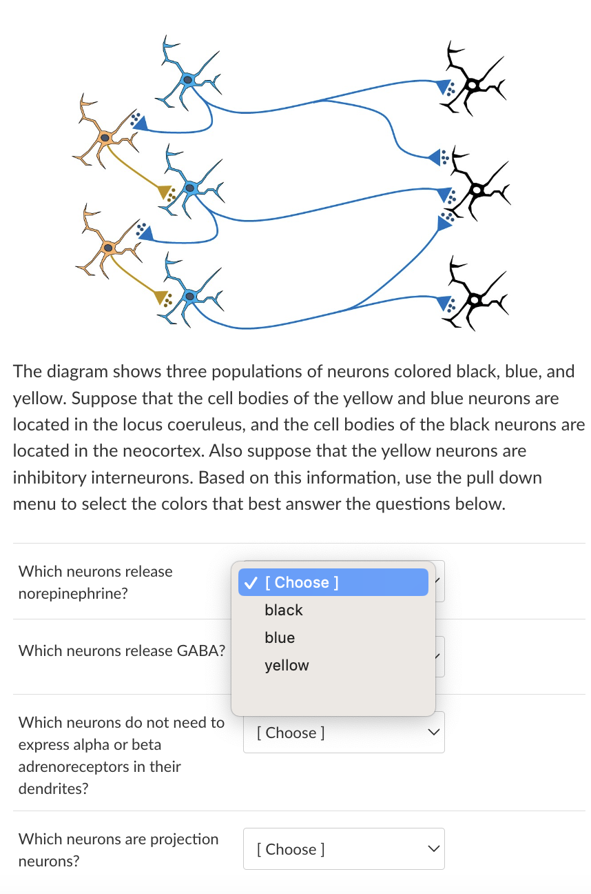 The diagram shows three populations of neurons | Chegg.com