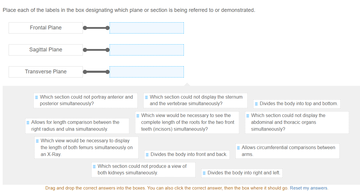 Solved Place each of the labels in the box designating which | Chegg.com