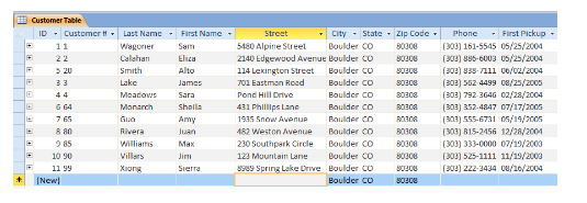 Solved Customer Table ID - Customer 11 22 > 20 4.4 Last Name | Chegg.com